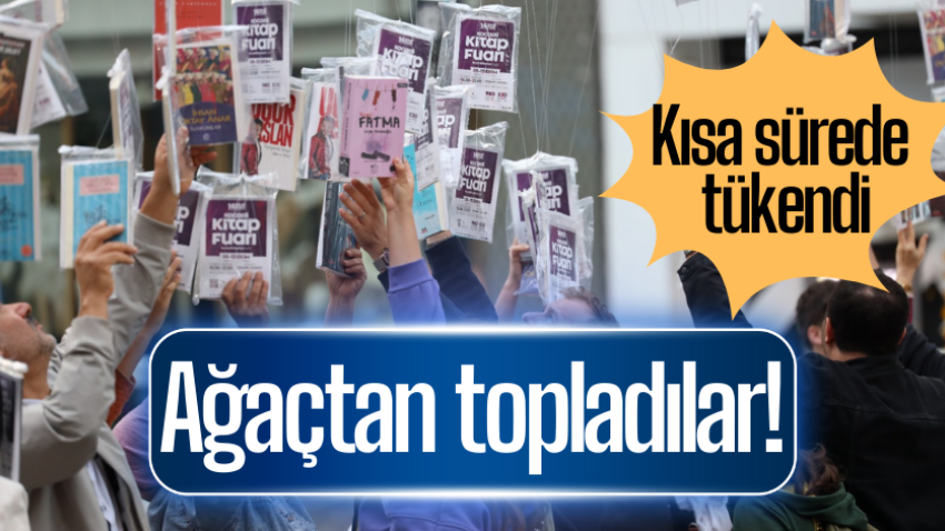 Ağaçlar kitap açtı! - Kocaeli Haberleri