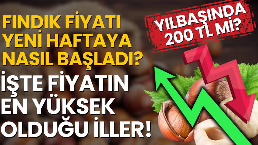 Fındık haftaya nasıl başladı? İşte fiyatın en yüksek olduğu İller - Ekonomi Haberleri