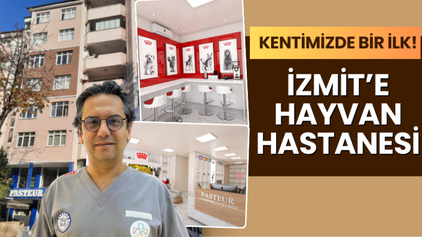 İzmit’e Hayvan Hastanesi kazandıracak! - Yaşam Haberleri