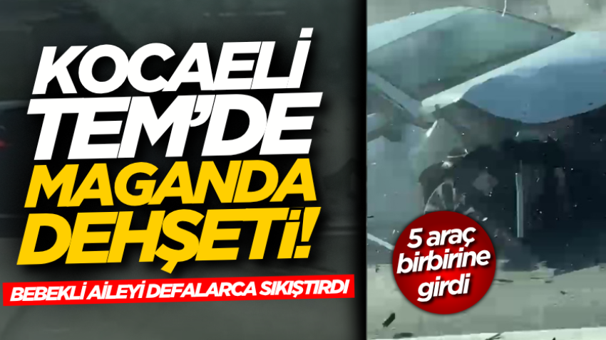 Kocaeli TEM’de maganda dehşeti! - ASAYİŞ Haberleri